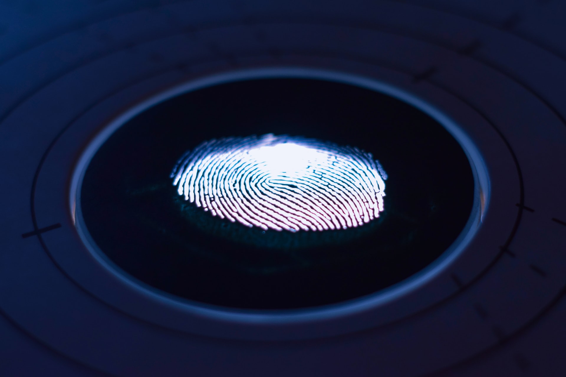 fingerprints-from-womb-to-biometric-scanner-clockedin